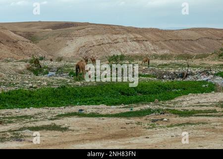The Kidron Stream flows from Jerusalem to the Dead Sea. cia the west ...