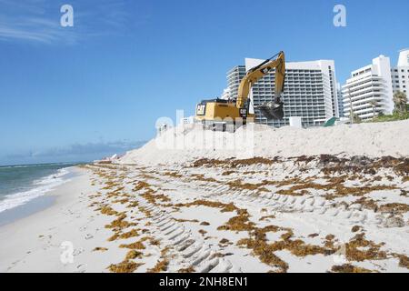 An excavator sits on top a large pile of beach sand and loads sand onto ...
