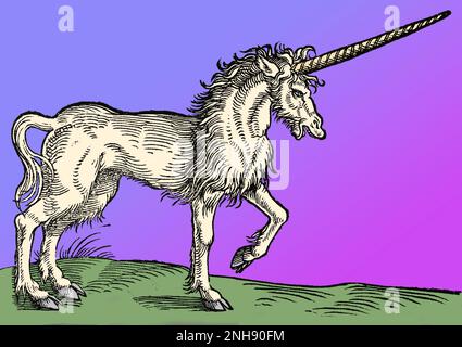 A unicorn. Woodcut after Conrad Gessner, 1551. Colorized Stock Photo ...