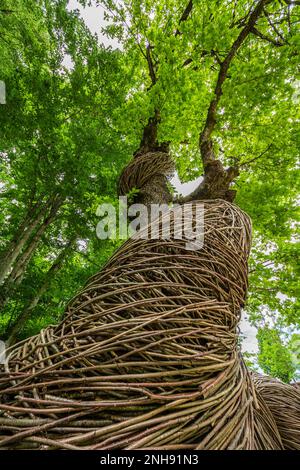 Arte Sella is exhibition of contemporary art which takes place in the ...