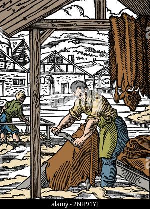 Tanner, Medieval Tradesman Stock Photo - Alamy