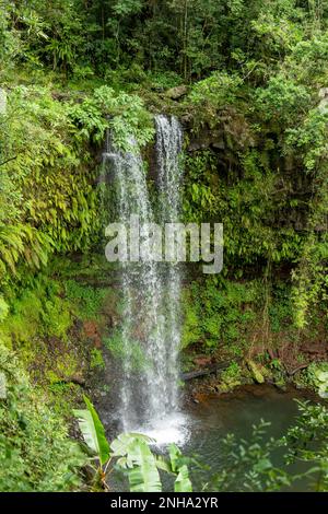 Sacred Waterfall in Montagne D'Ambre National Park, Madagascar Stock ...