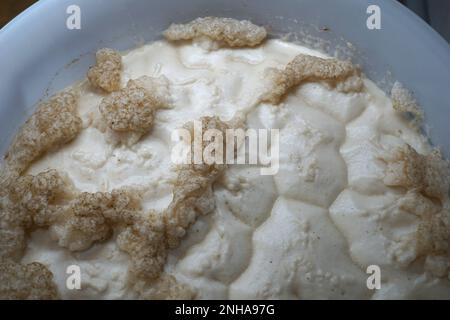 Beer yeast foam in fermenter - alcohol fermentation process Stock Photo ...