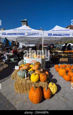 Halloween pumpkins are displayed for sale at Union Square NYC Stock ...