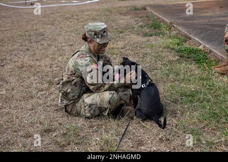 Soldiers from the 3rd Battalion 325th Infantry Regiment armed with M16 ...