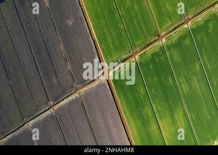 Aerial photographic documentation of the giometric shapes of the ...