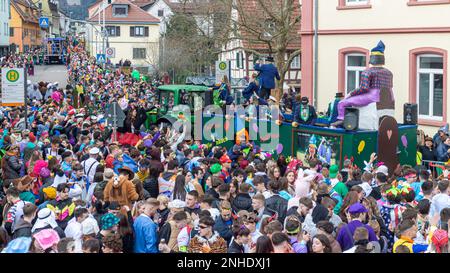 Neckargemuend, Germany - Feb. 18, 2023: traditional carnival parade in ...