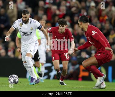 Virgil van Dijk (Liverpool), Karim Benzema (Real) FC Liverpool - Real ...