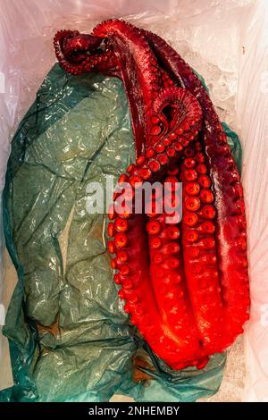 Tokyo Japan. Fish Market. Octopus Stock Photo - Alamy