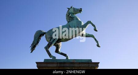 bronze sculpture of the Saxon Steed in front of the university building ...