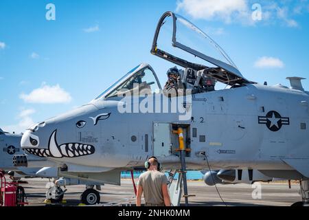 More than 200 Airmen and 10 A-10 Thunderbolt II Warthogs from the 924th ...