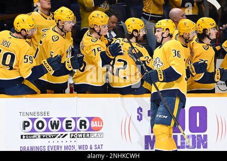 Nashville Predators left wing Cole Smith, left, checks Arizona Coyotes ...