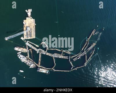 Aquaculture Fish Farm Pens Used to Keep Farmed Fish Stock Photo - Alamy