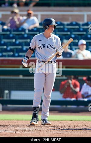 T.J. Rumfield (59) (New York Yankees) of the Mesa Solar Sox during an ...