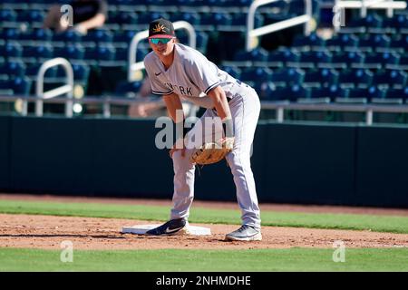 T.J. Rumfield (59) (New York Yankees) of the Mesa Solar Sox during an ...