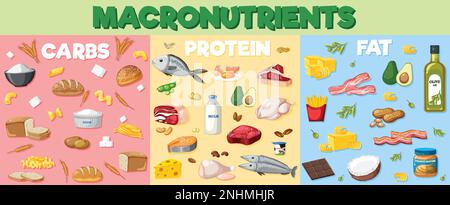 Macronutrients diagram with food ingredients illustration Stock Vector ...