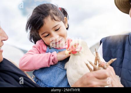 Farm, agriculture and grandparents with girl and chicken in countryside ...