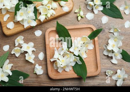 Composition with plate and beautiful jasmine flowers on light ...