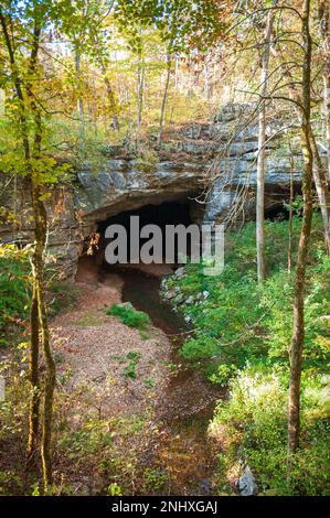 A small stream coming from inside a cave at Russell Cave National ...