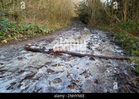 A frozen muddy puddle on a footpath with branches and trip hazards ...