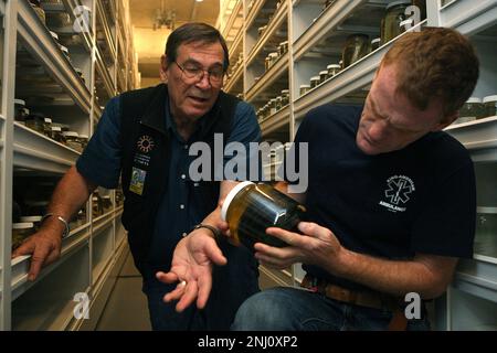 Curator and chair of herpetology Bob Drewes and Dr. Matt Lewin show a ...