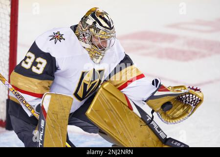 NHL profile photo on Vegas Golden Knights goalie Robin Lehner, from ...