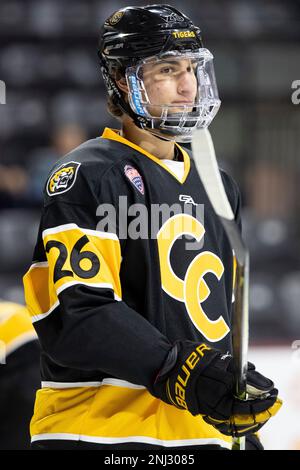 Noah Laba of Colorado College(26 in white) celebrates scoring a goal ...