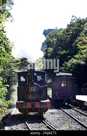 Steam Engine Locomotive SL12 is pictured at Meiji Mura in Inuyama City ...