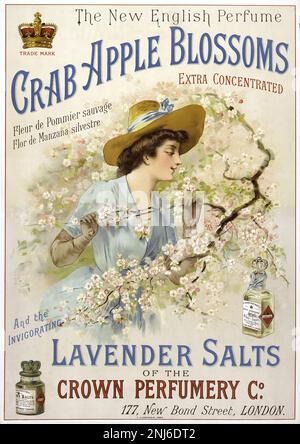 Victorian Advertising Illustration for beauty products, Circa 1899 ...
