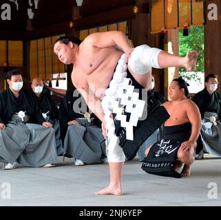 Yokozuna Terunofuji Haruo, Mongolian Sumo wrestler, performs ring ...