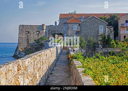 Venetian city walls of Budua at the medieval town Budva along the ...