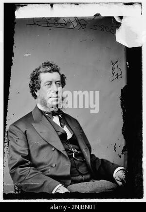 A formal portrait of Hon. Hamilton Fish, a prominent politician and ...