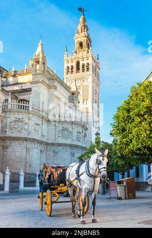 Horse and Carriage in front of the Giralda Tower. Seville, andal Stock ...