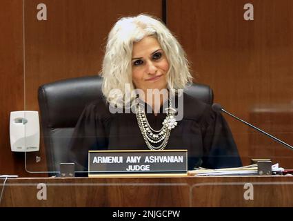 Judge Armenui Amy Ashvanian presides during the arraignment of Carlos ...