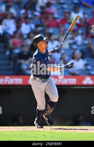 Seattle Mariners' Julio Rodriguez swings through after hitting a solo ...