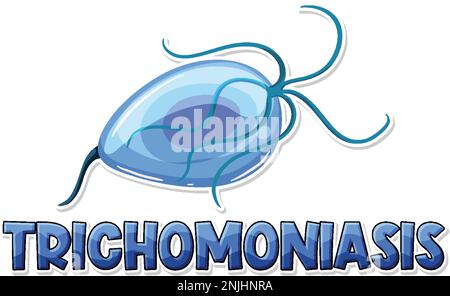 Trichomonas vaginalis (a protozoan parasite) illustration Stock Vector ...