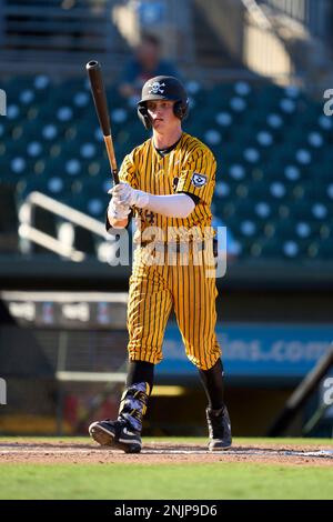 Ashton Larson during the WWBA World Championship at Roger Dean Stadium ...