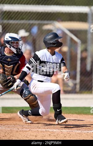 Bryan Rincon during the WWBA World Championship at Roger Dean Stadium ...