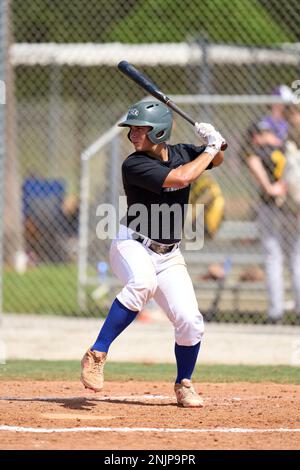 Niko Brini during the WWBA World Championship at Roger Dean Stadium ...