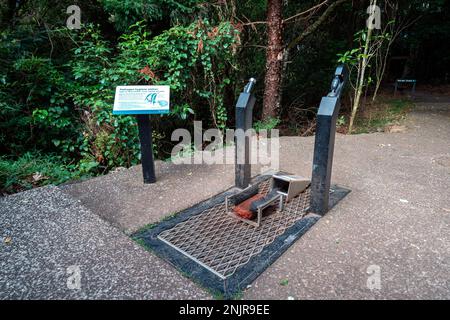 Pathogen hygiene boot cleaning station the Bunya Mountains National ...