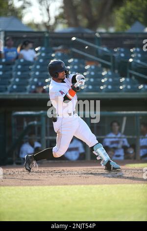 Edgar Quero (10) of the Inland Empire 66ers bats against the Visalia ...