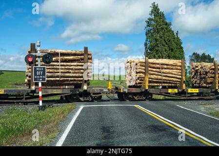 Train transporting logs - Railway crossing Stock Photo - Alamy