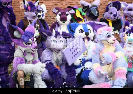 Furries pose for the annual Fursuit Group Photo at the Anthrocon ...
