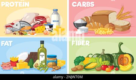 The four main food groups illustration Stock Vector Image & Art - Alamy