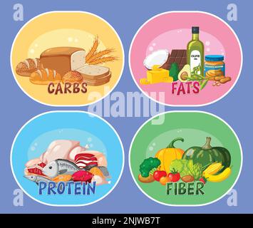 The four main food groups illustration Stock Vector Image & Art - Alamy