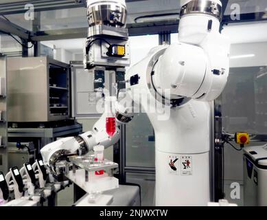 Mahoro, a humanoid lab assist robot holds test tubes at RIKEN, in Kobe ...