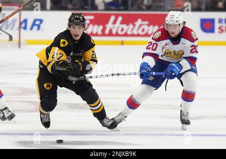 Hamilton Bulldogs' Ryan Winterton, second from right, celebrates his ...