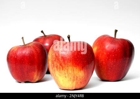 apple (Malus domestica), fresh red apples, one with engraved heart ...