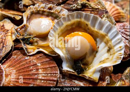 Scallops mussels St. Jacob laid out on the table with ice on fish ...