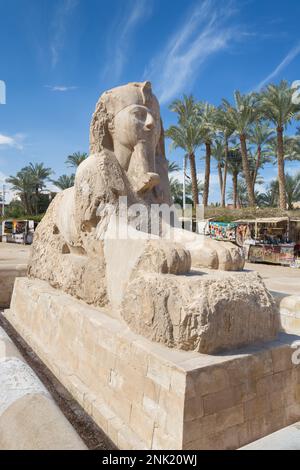 The Memphis sphinx, 1550-1069 BC circa, egyptian alabaster, Mit Rahina ...